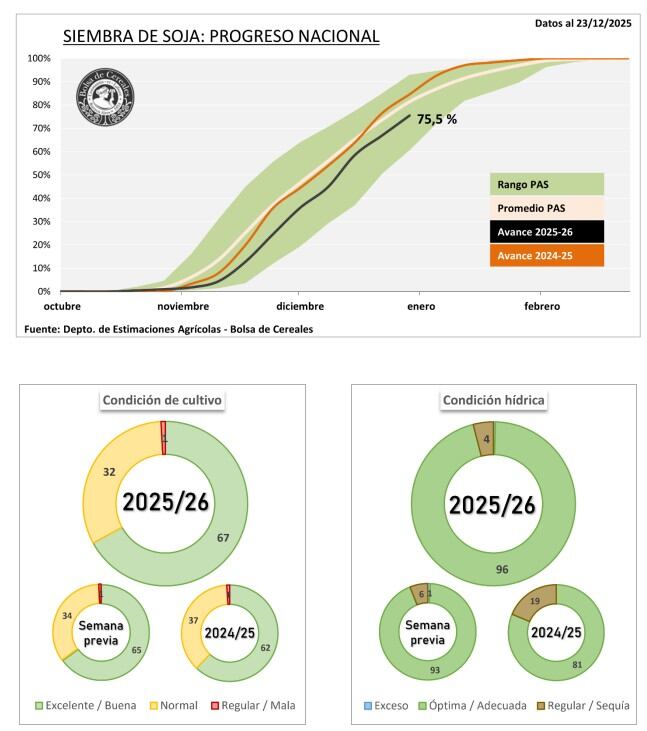 Panorama agrícola: se inició la cosecha de girasol y la zona núcleo ...