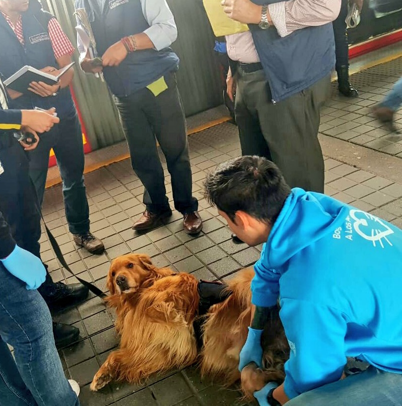 Operativo perros seguridad Transmilenio (2) - Colombia